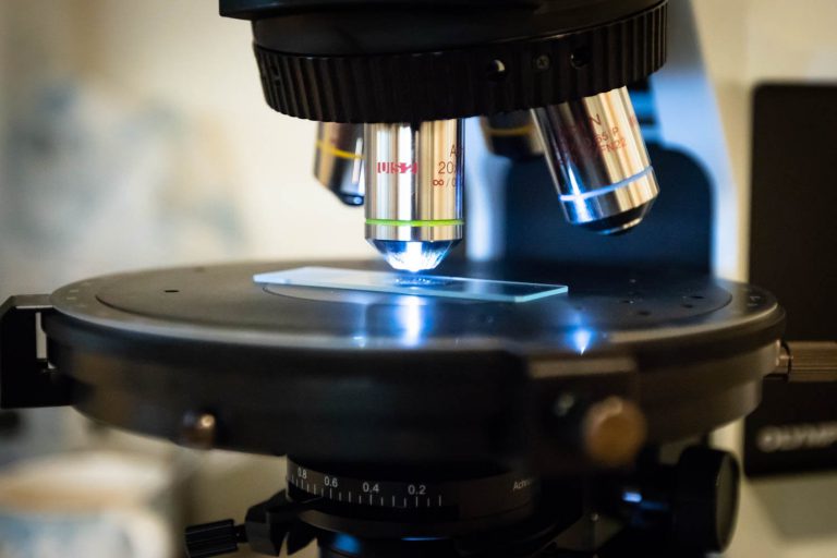 Asbestos Testing Services | Global Asbestos Audits